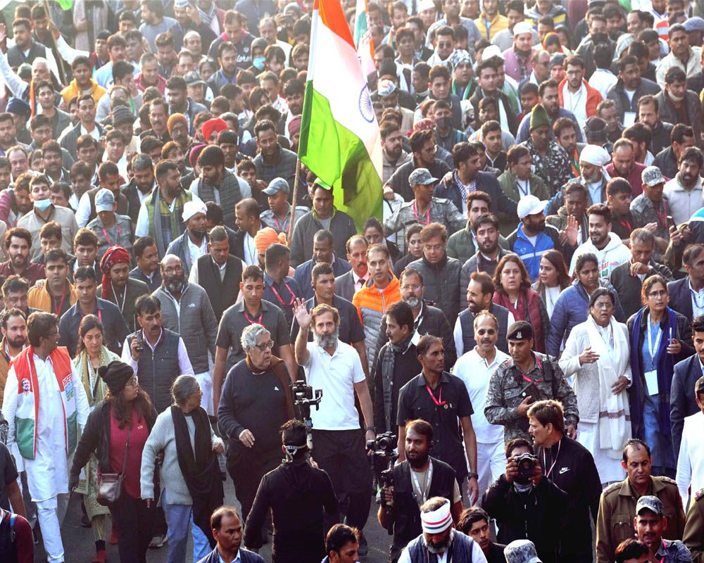 Delhi decked up as Cong's Bharat Jodo Yatra enters capital; thousands walk behind Rahul Gandhi