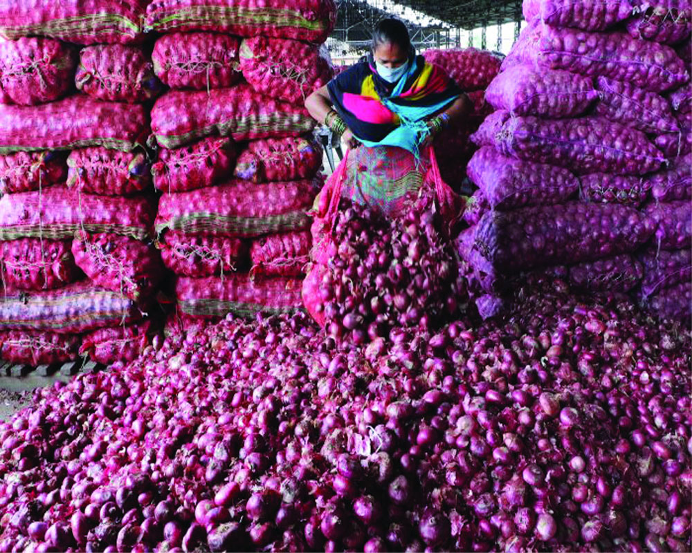 India bans onion exports till March next year