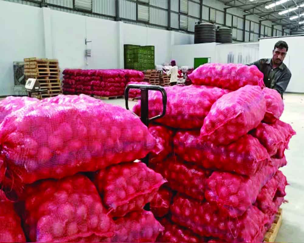 Government extends ban on onion exports till further orders