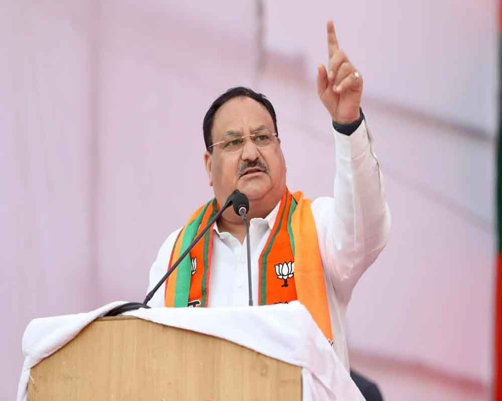 Operation Sindoor proof of India's 'decisive leadership' under PM Modi: Nadda